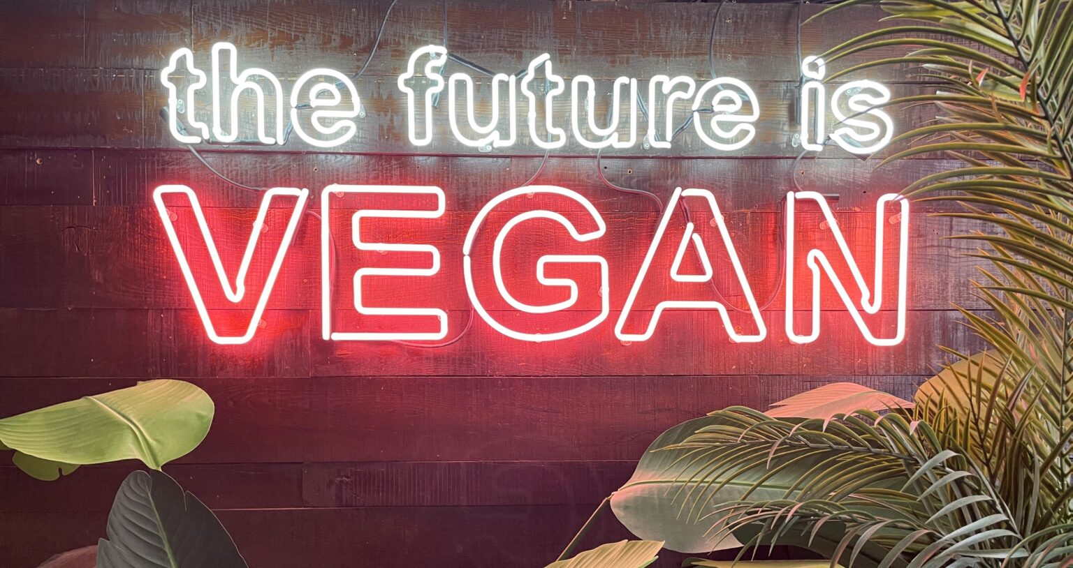 9 Tips for Travelling Plant Based or Vegan | Cutters on the Move